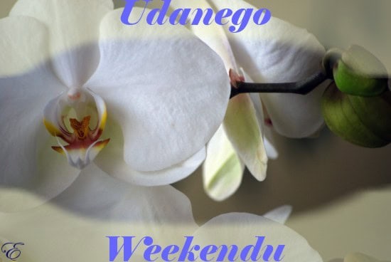 Kartki z życzeniami na weekend - E-kartki.net